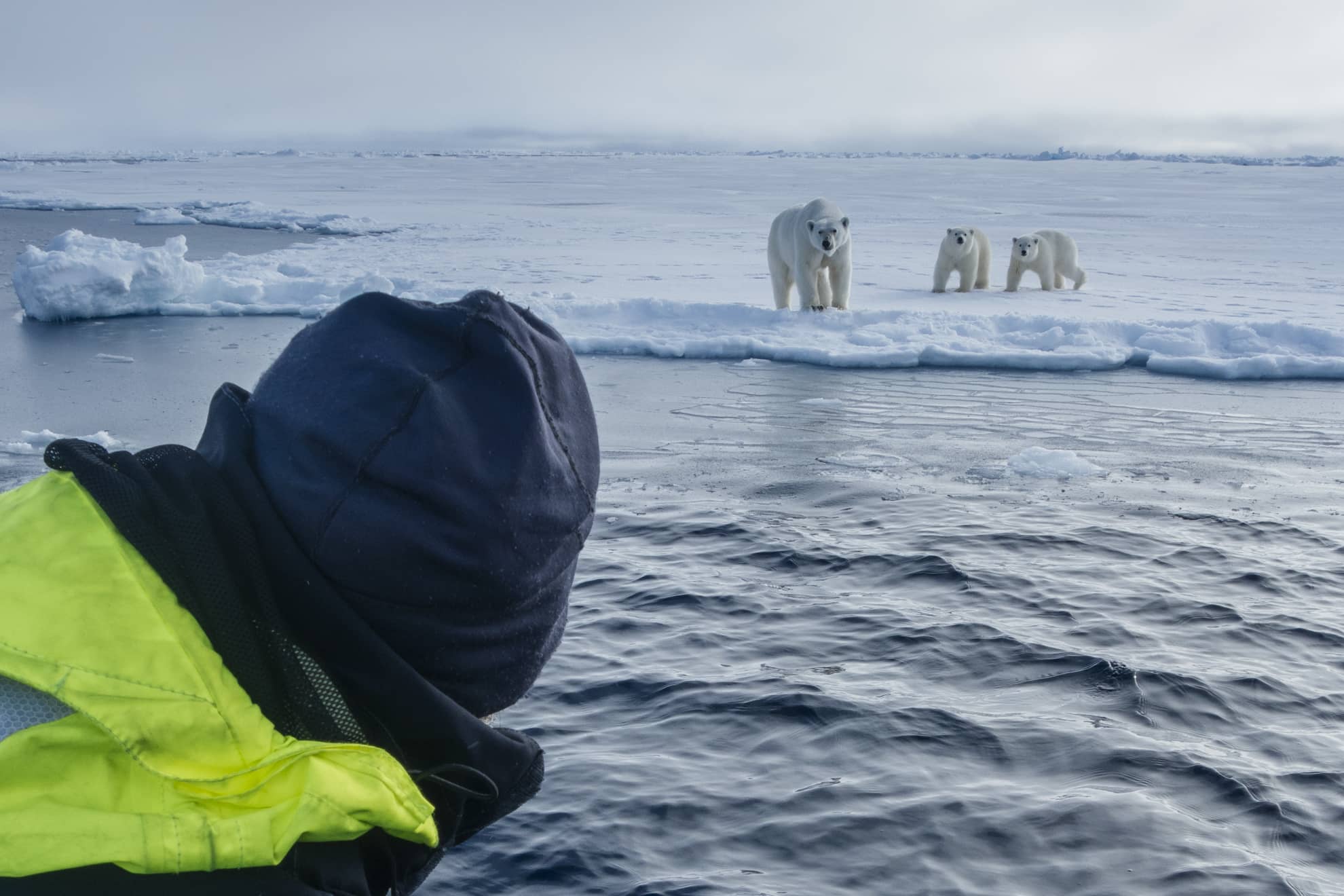 Vincent Colliard - Professional explorer - crossing the 20 largest icecaps