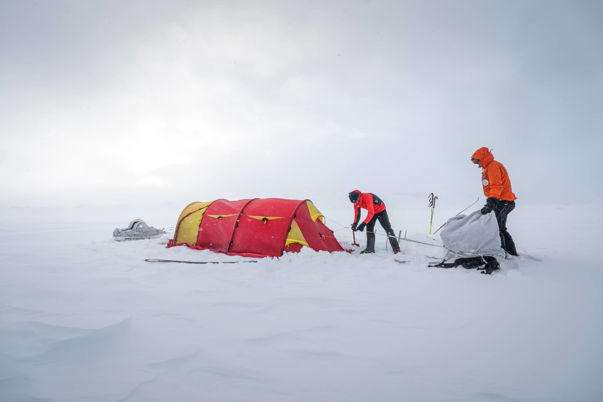 Media - Vincent Colliard